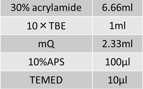 Tbe Gel Recipe - Infoupdate.org